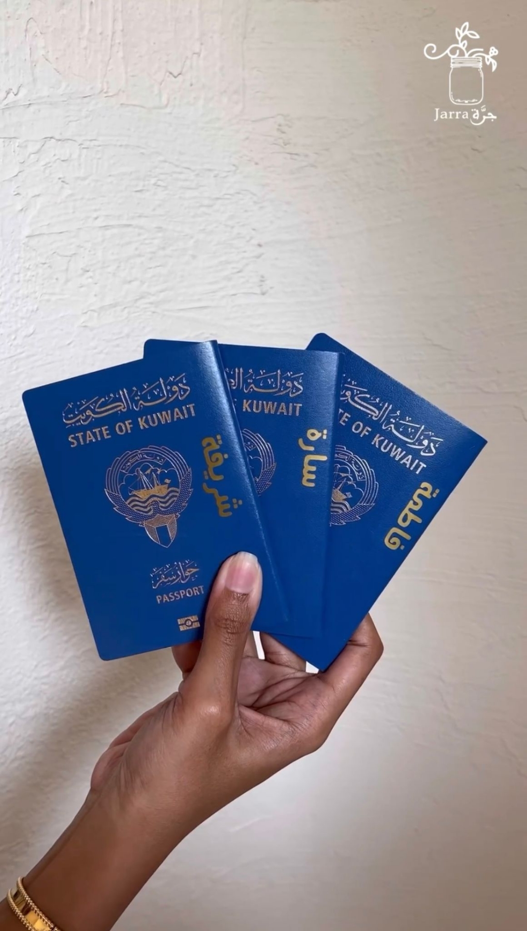 Jarra. Passport Pouch -With 4 Passports Labels